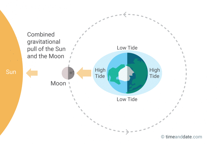 Spring And Neap Tides Moon Diagram